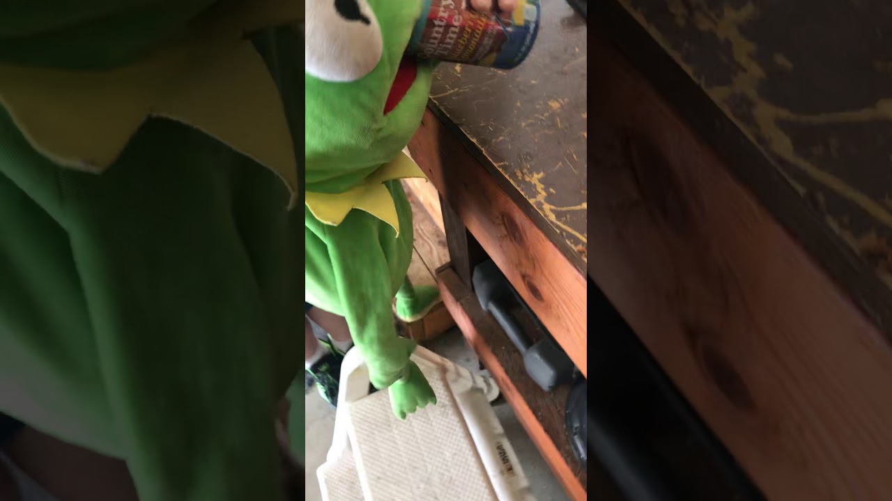 Kermit And Elmos Fight Youtube