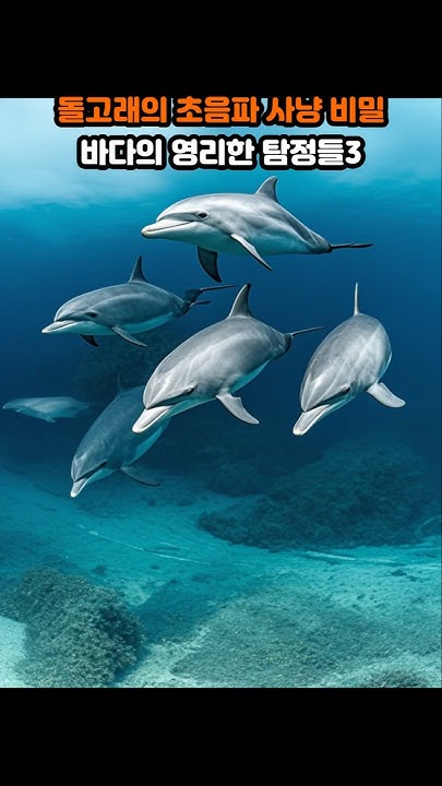 돌고래의초음파사냥비밀바다의영리한탐정들3#돌고래 #초음파사냥 #바다 - YouTube