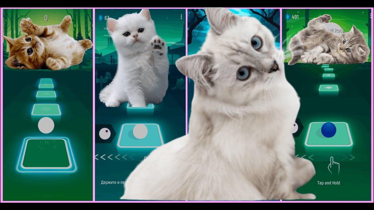 OK KITTY CUTE CATS | Tiles Hop – Kitten competition | SHAPE OF YOU ...