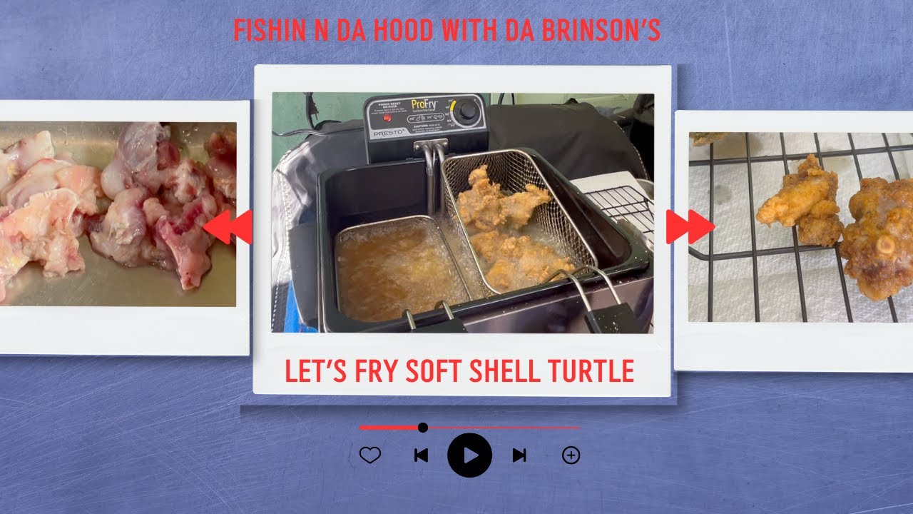 LET'S FRY SOFT SHELL TURTLE#fypyoutube #fyp #cooking #softshellturtle # ...
