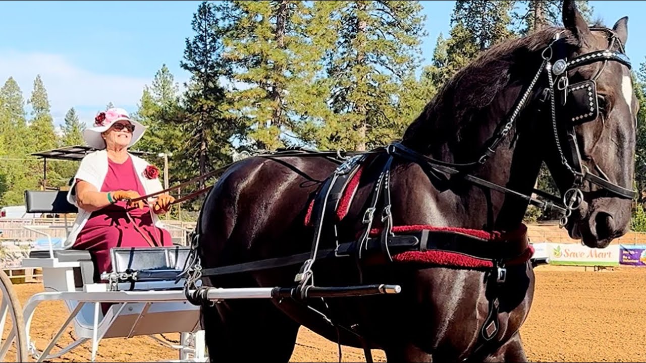 Smile, Smile, Smile; a Carousel of Memorable Showtime Moments at the ...