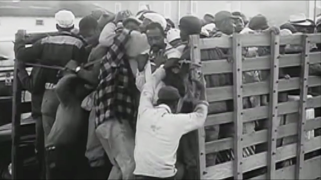 Harvest of Shame (1960) Migrant Farm Workers - YouTube