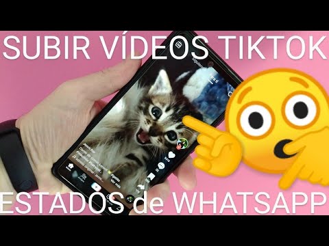 🎵👉📱 Cómo COMPARTIR VÍDEOS de TIKTOK al ESTADO de WHATSAPP en ANDROID e iOS ❓ FÁCIL y RÁPIDO