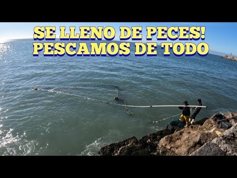 PESCA CON RED EN EL MAR! SE LLENO DE PECES! PESCAMOS DE TODO - YouTube