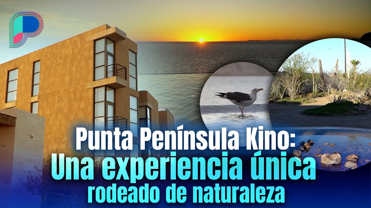 Vista Laguna en Punta Península: Donde naturaleza y infraestructura se ...