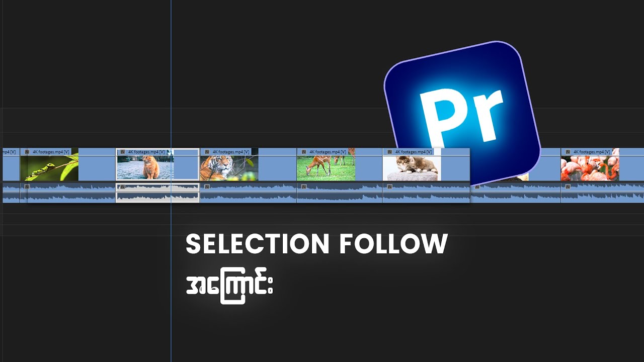 Selection Follow Playhead အသုံး၀င်ပုံ ၊ အသုံးပြုပုံ - Premiere Pro ...