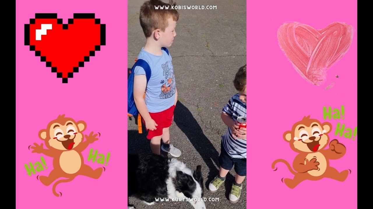 Goodrington beach swans hissing at Blue making both boys laugh xx - YouTube