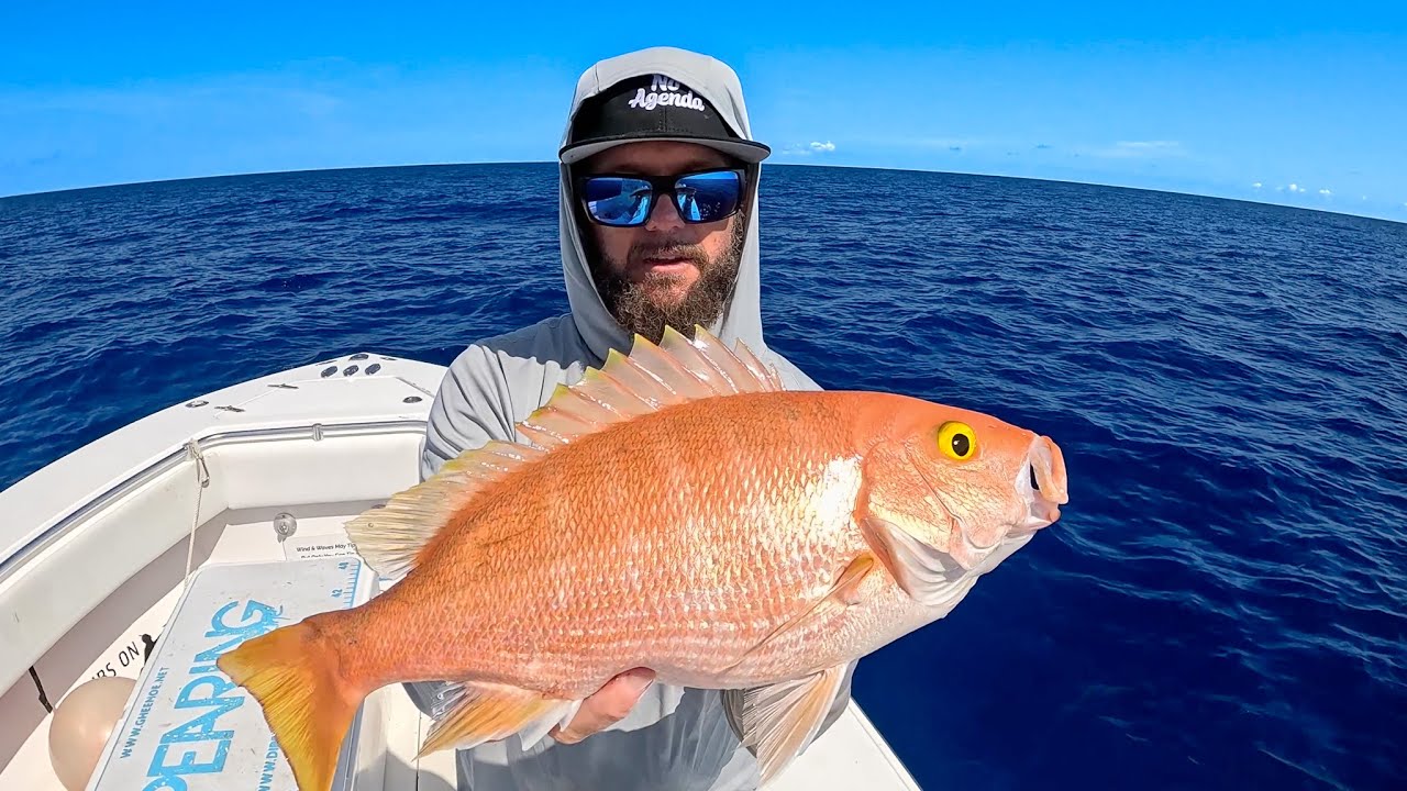 Deep Water Snapper | Hand Crank - Mixed Bag | Catch Clean Cook - YouTube