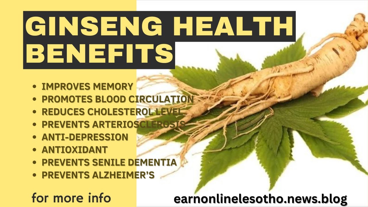 Unlocking the Power of Ginseng: Benefits, Uses, and Growing Tips - YouTube