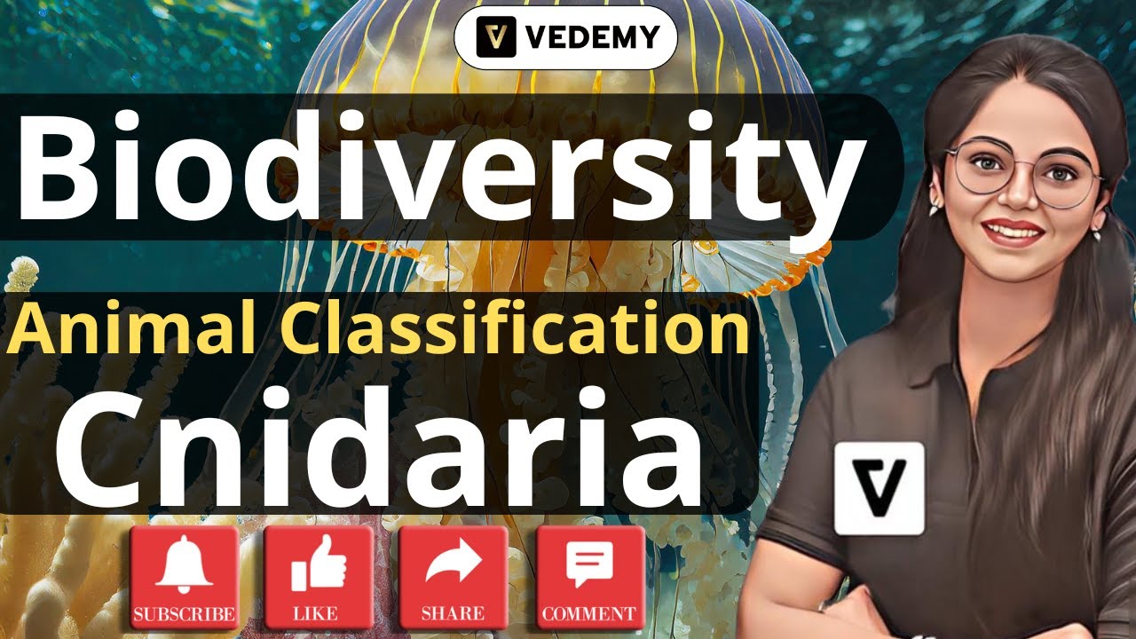 Cnidaria/Coelenterata | Animal Classification | Biodiversity | Dr ...