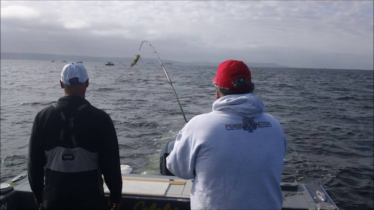 Rob catching shark - YouTube