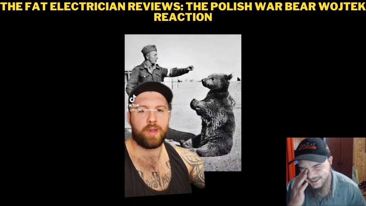 The Fat Electrician Reviews: The Polish War Bear Wojtek Reaction - YouTube