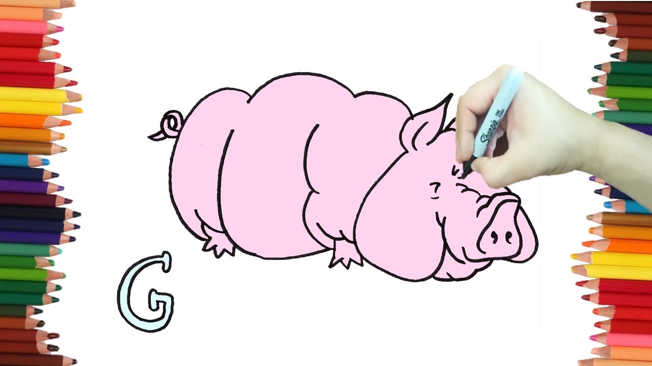 Drawing A VERY FAT PIG - Speed drawing - YouTube