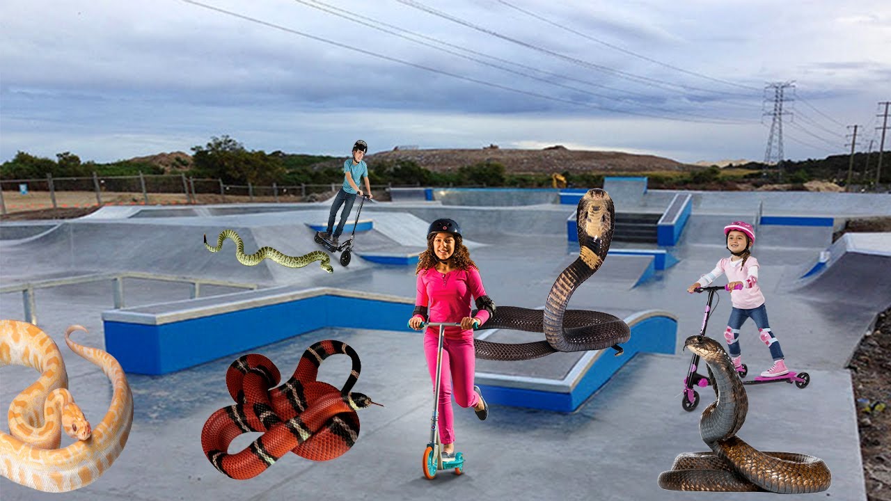 SKATEPARK FULL OF SNAKES! - YouTube