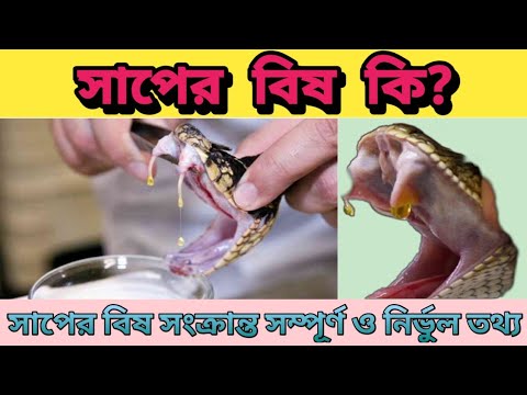 সাপের বিষ কি? | সাপের বিষ কিভাবে কাজ করে? | What Is Snake Venom | How ...