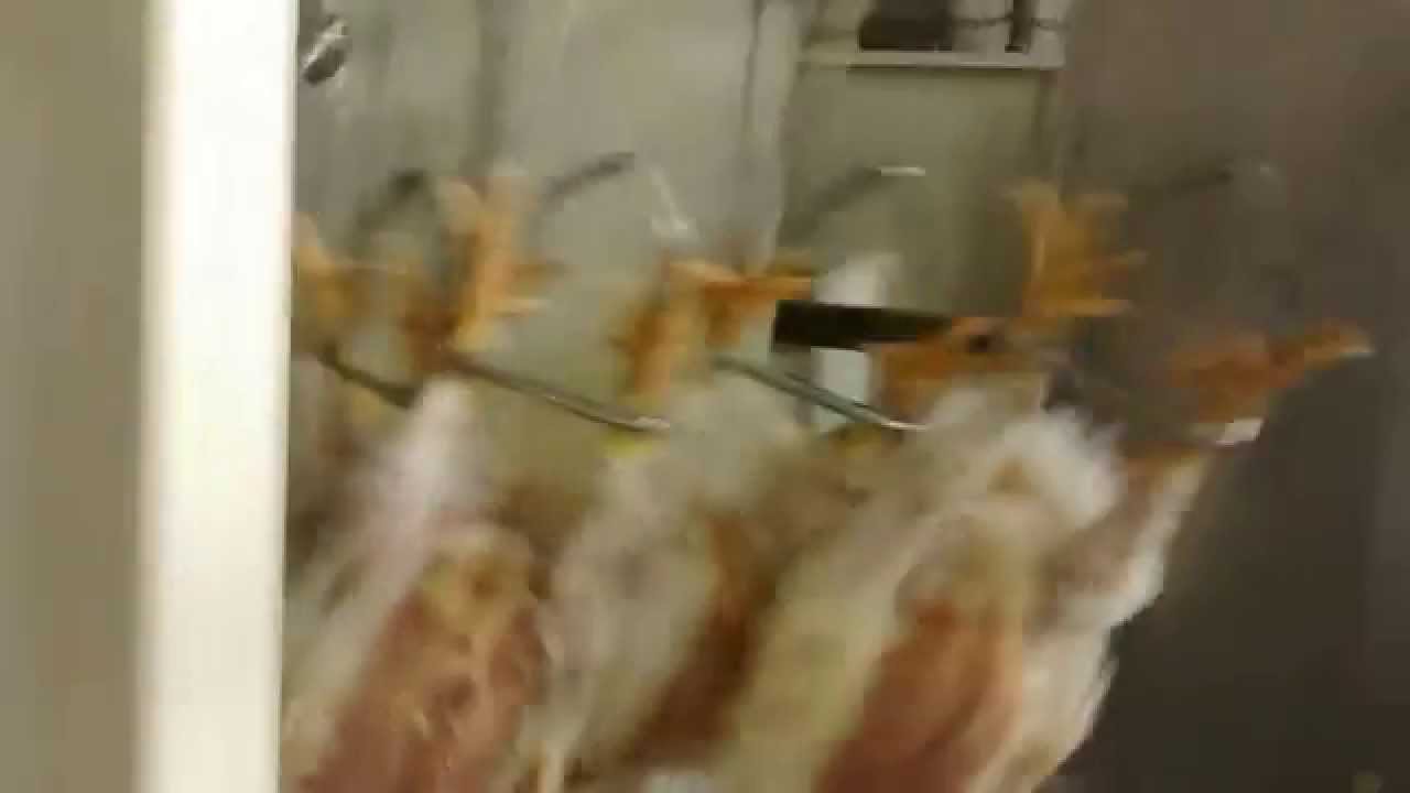 Abate Halal- Halal Food parte 1 - YouTube