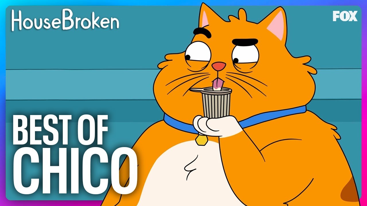 Chico Moments That Live in Our Head Rent-Free | HouseBroken - YouTube