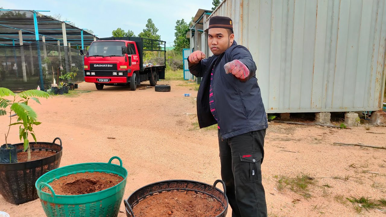 Cara tanam pokok dalam pasu besar jangan dalam botol @AbeDinChannel ...