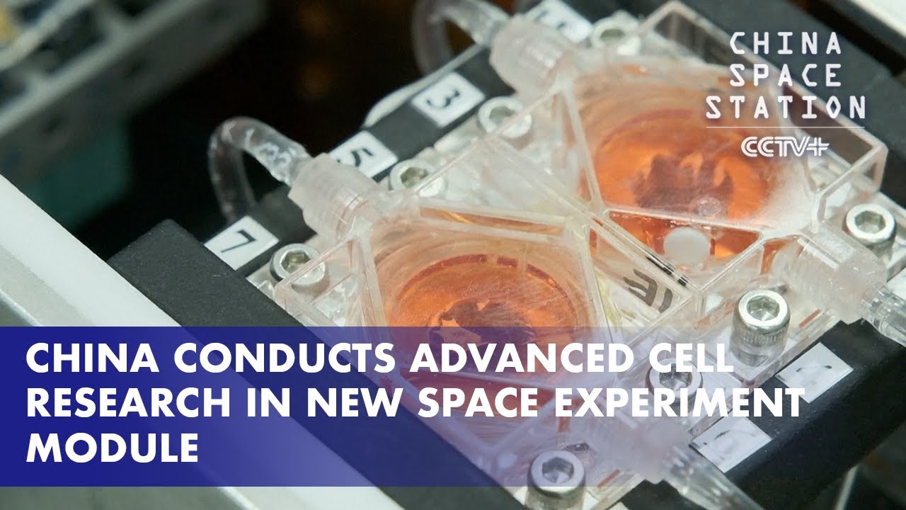 China Conducts Advanced Cell Research in New Space Experiment Module ...