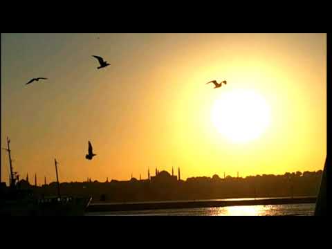 Hilmi Yavuz - Bedreddin