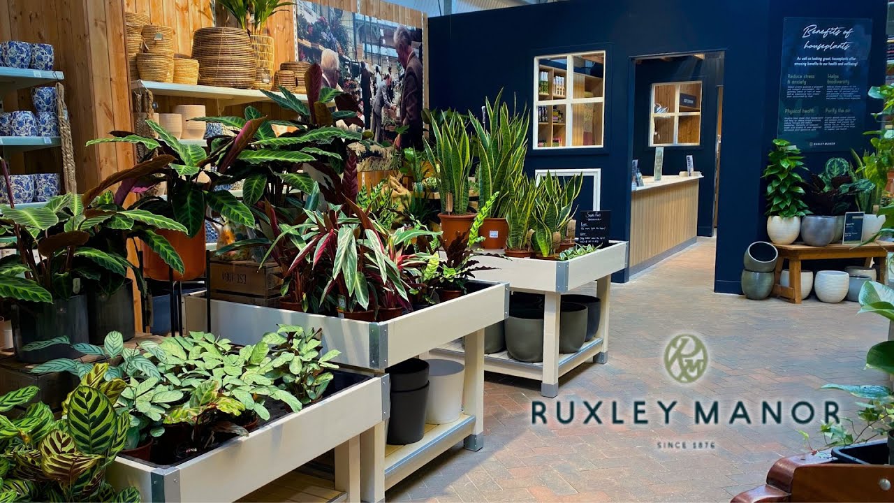 Ruxley Manor’s New ‘Houseplant Heaven’ by stagecraft display Ltd - YouTube
