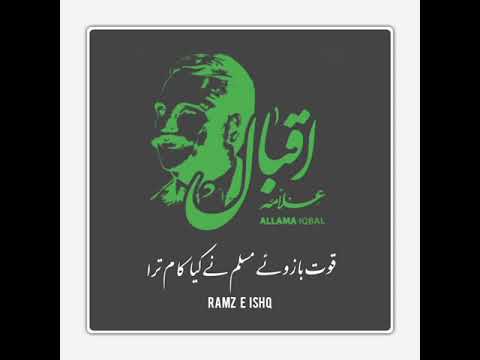 9 NOVEMBER IQBAL DAY || Zia mohiuddin Allama Iqbal Poetry 🌼🥀||
