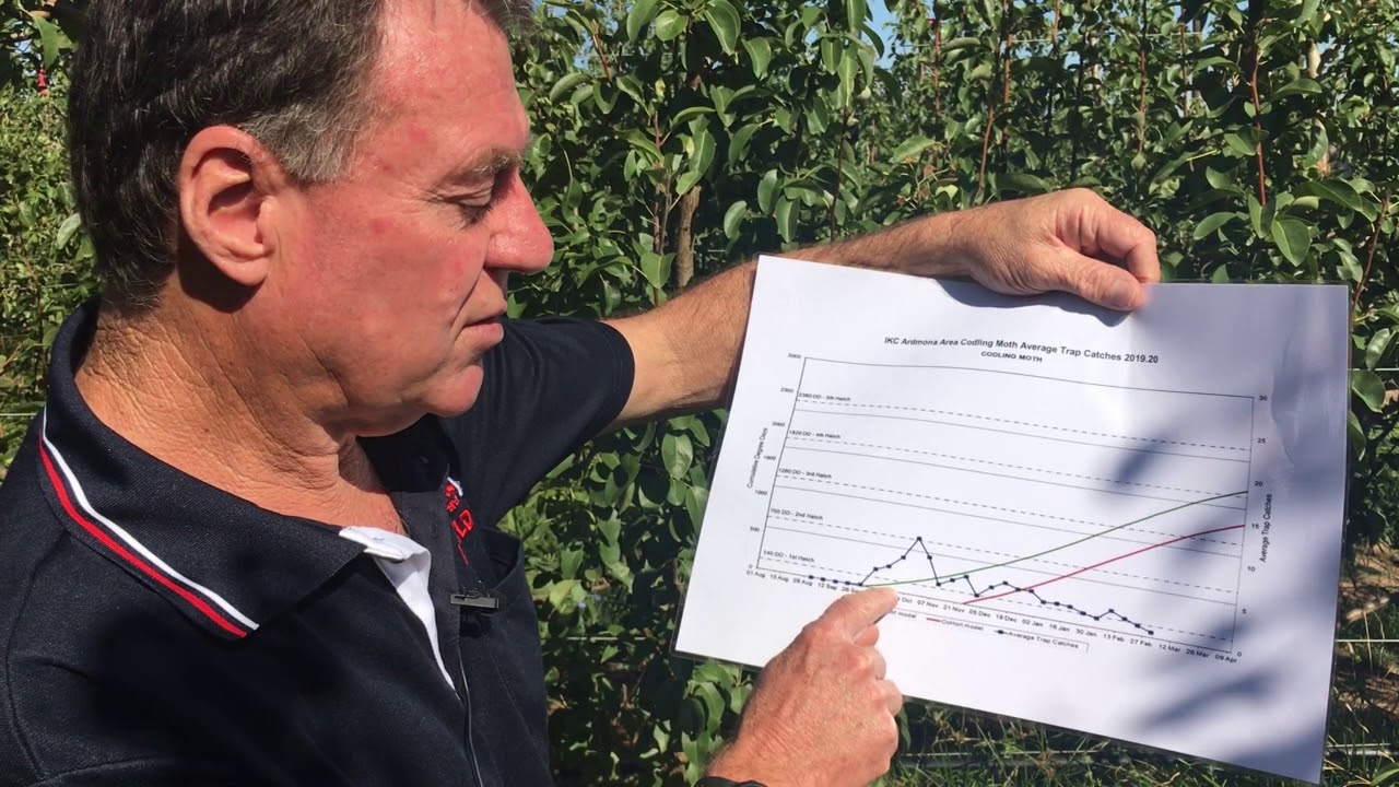 Codling Moth biofix and phenology modelling with Russell Fox - YouTube