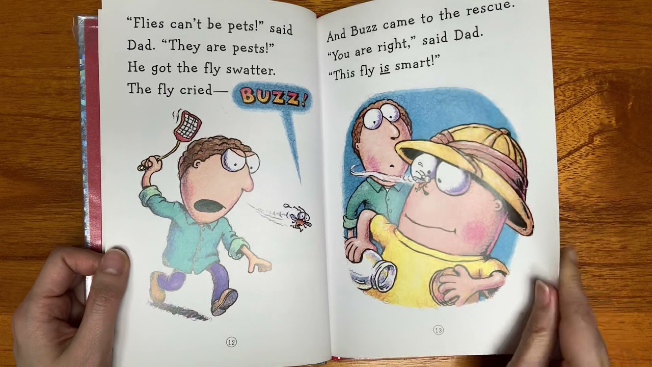 Hi! Fly Guy - YouTube