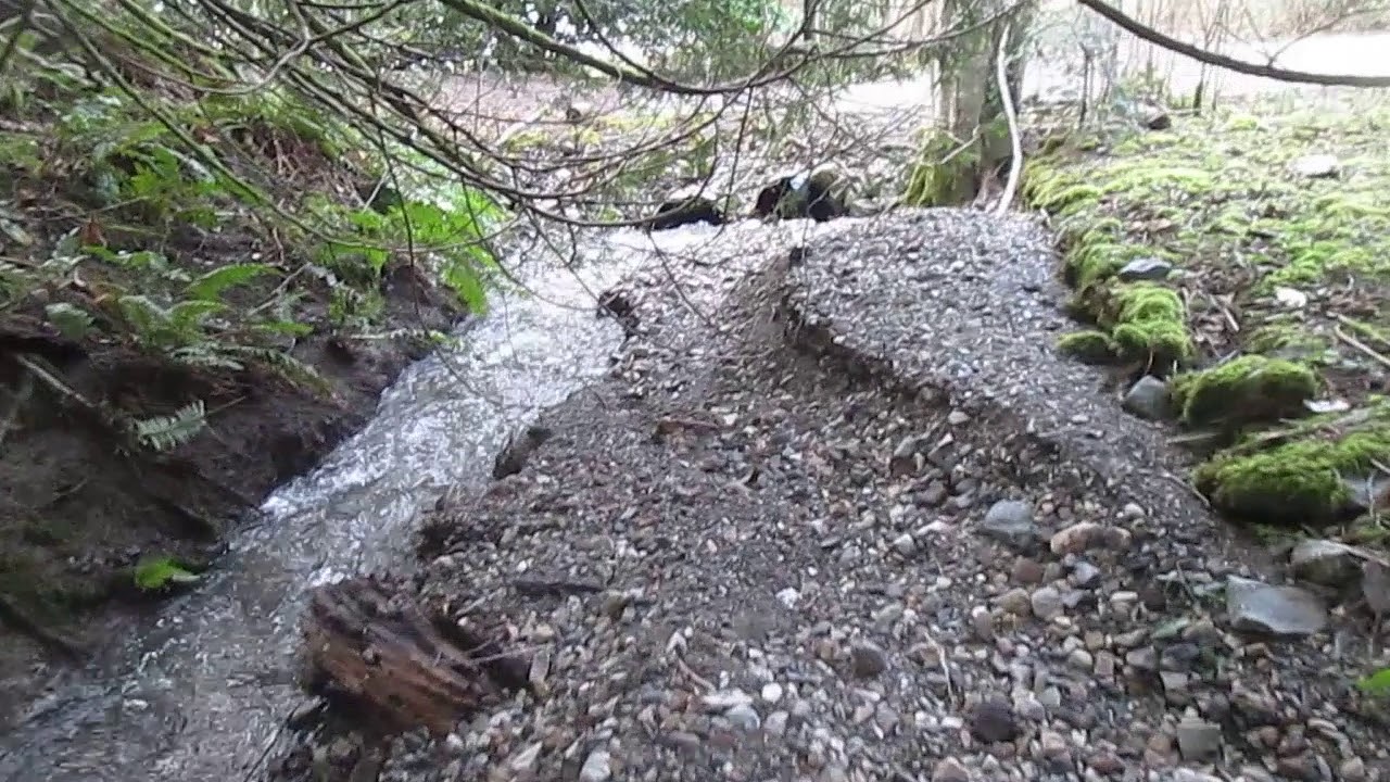 Creek immediately upstream of culvert - YouTube