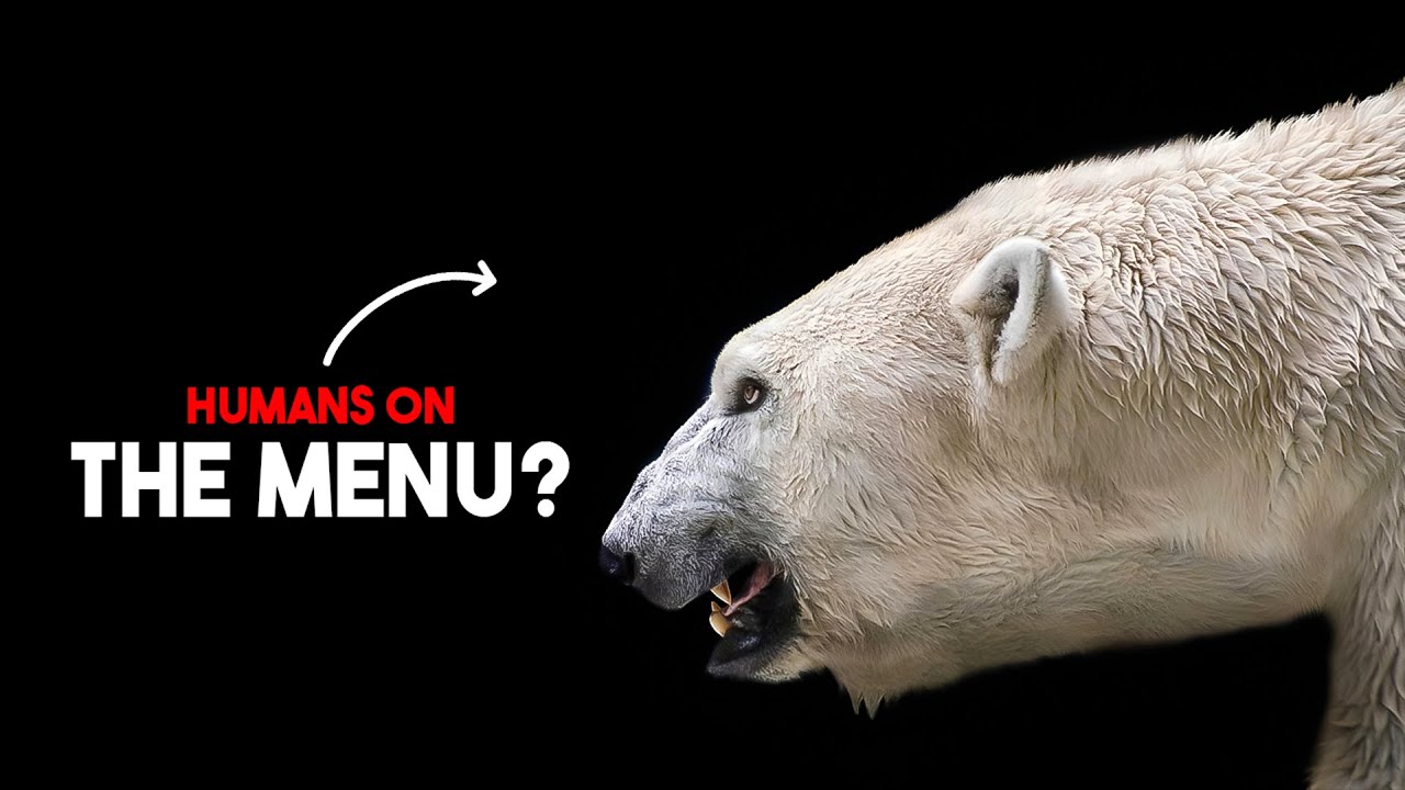 8 Animals That See Human As Food - YouTube