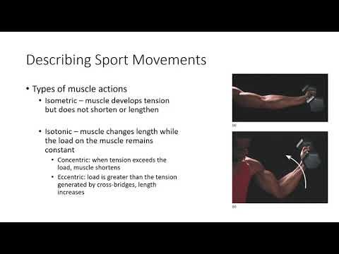 EXS 36000: Athlete Needs Analysis - YouTube