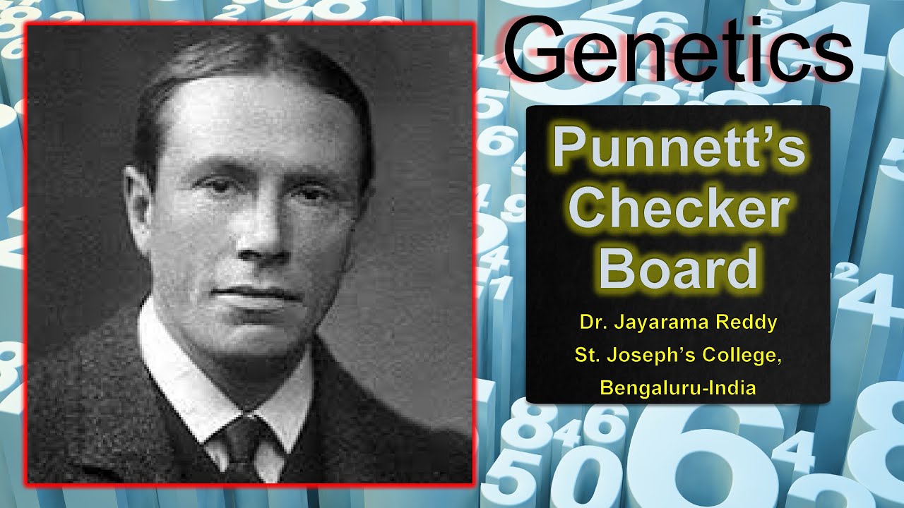 Punnett's Checker Board- A Genetics' tool - YouTube
