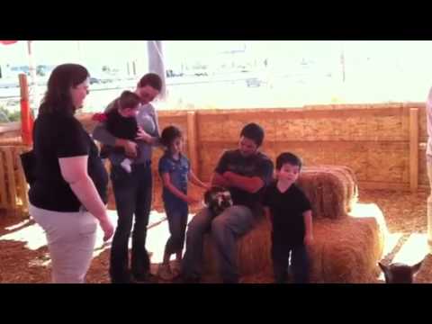 Petting zoo 2 - YouTube