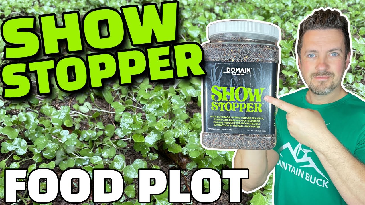 Domain Outdoor Show Stopper Food Plot Deer Are Already Eating It domain-outdoor-show-stopper-food-plot-deer-are-already-eating-it