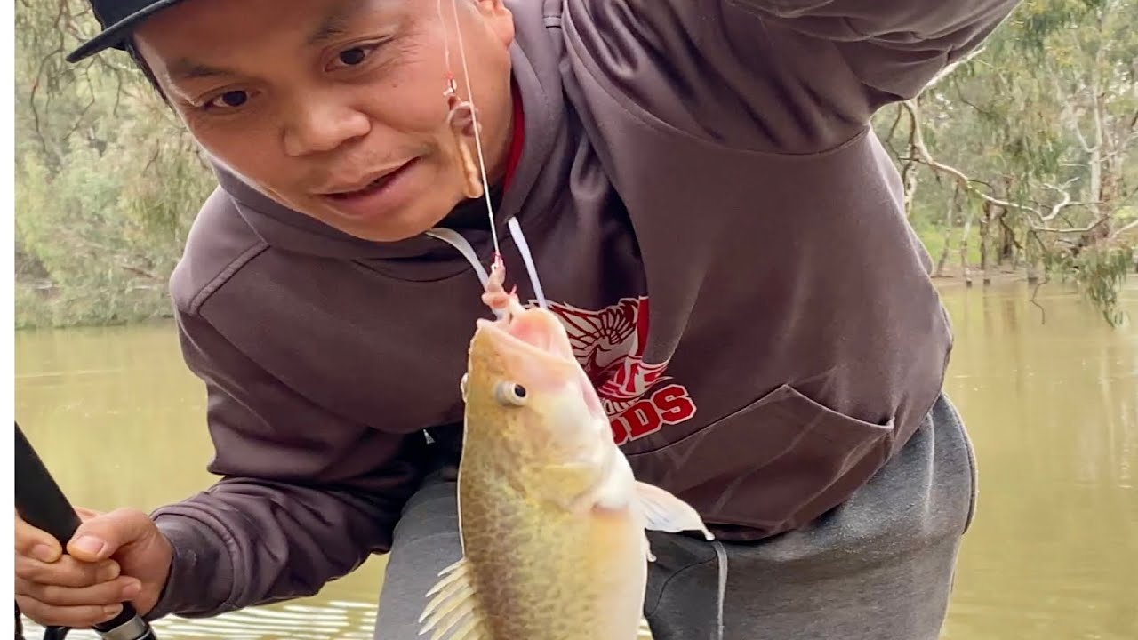 MURRAY COD FISHING IN MURRAY RIVER AT PIANGIL VICTORIA DURING WINTER ...