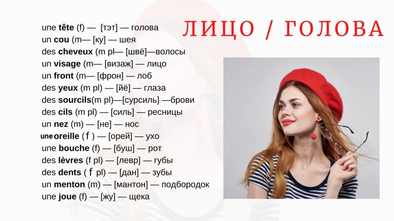 Части тела во французском языке Слушаем повторяем и запоминаем Youtube