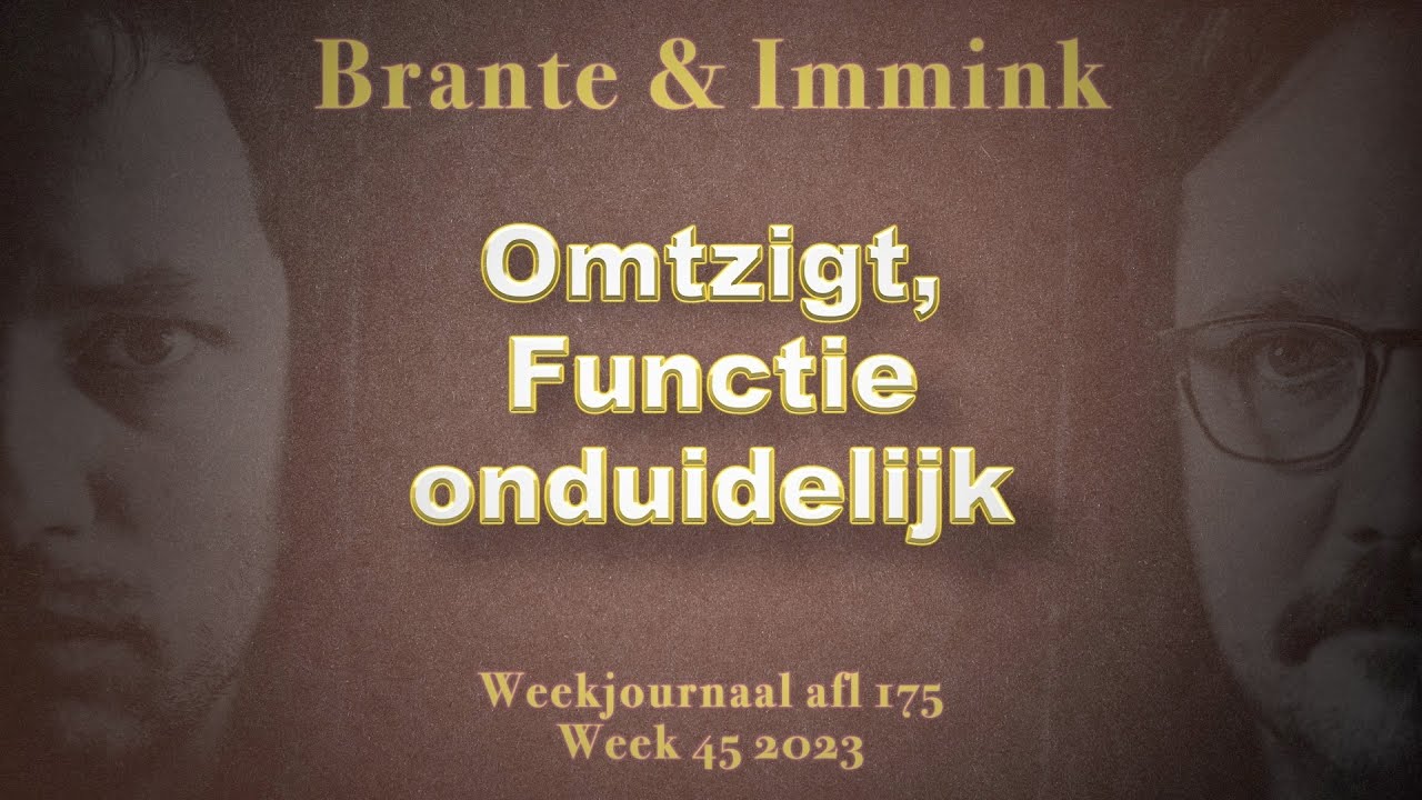 Omtzigt, functie onduidelijk - YouTube