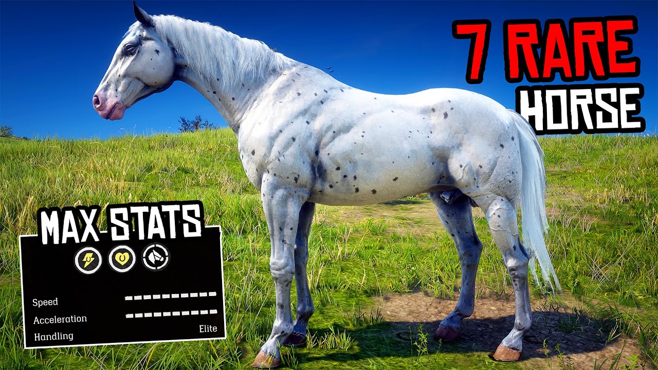 7 Rare Horse Locations - Red Dead Redemption 2 - YouTube