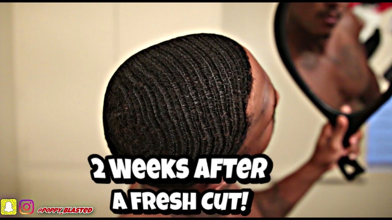 What you should do 2 weeks after a Fresh Cut!!! ELITE Tips!! - YouTube