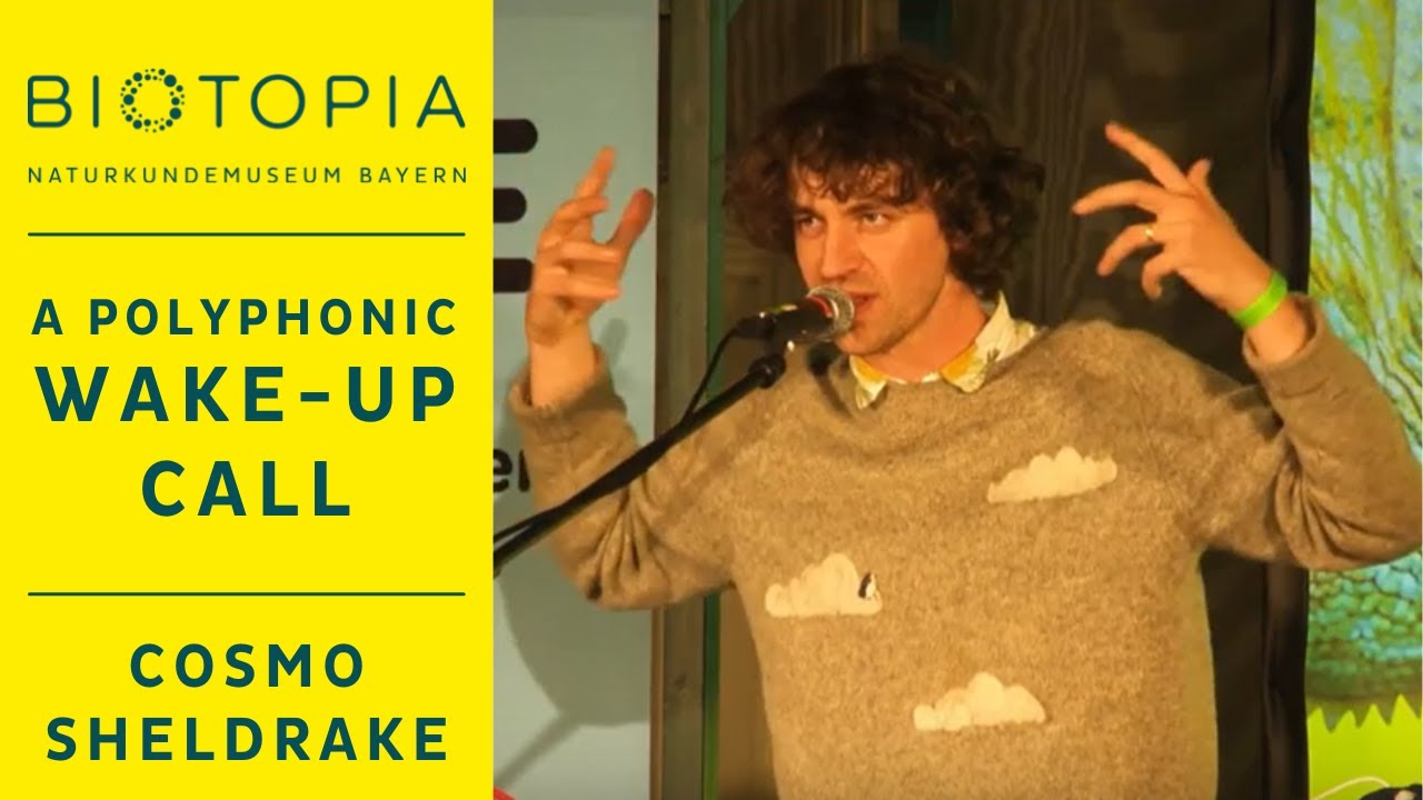 Cosmo Sheldrake: A Polyphonic Wake-up Call | BIOTOPIA SENSE FESTIVAL ...