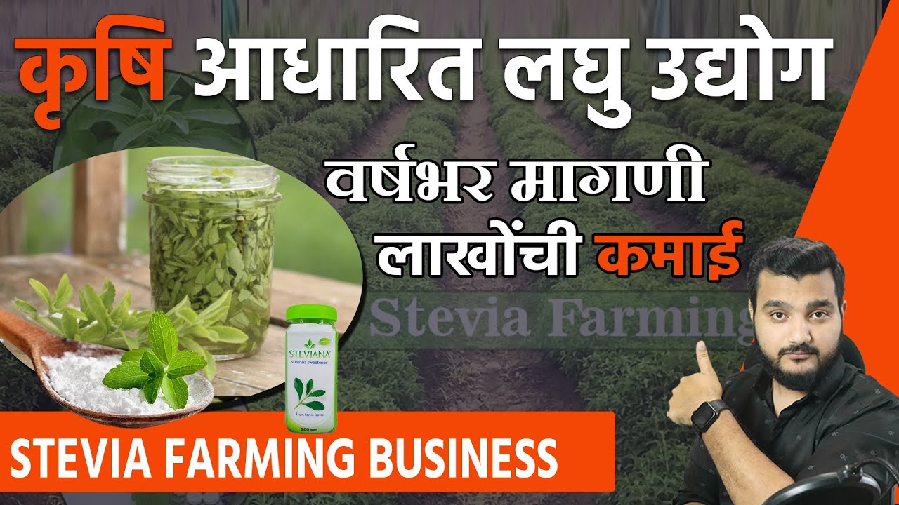 खूप मागणी लाखोंची कमाई 🎯 Stevia Farming Business 🎯Farming Business ...