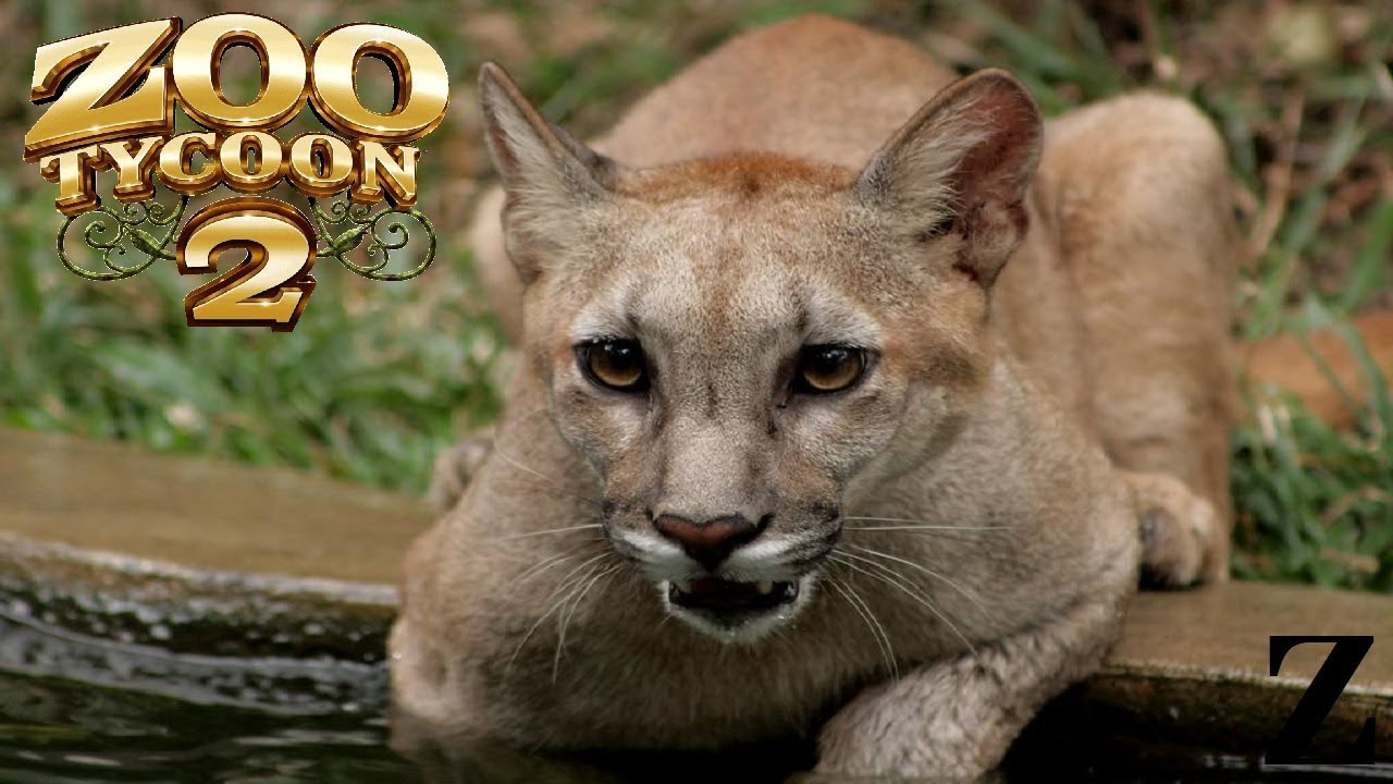 Zoo Tycoon 2 Exhibit Speed Build || Puma - YouTube
