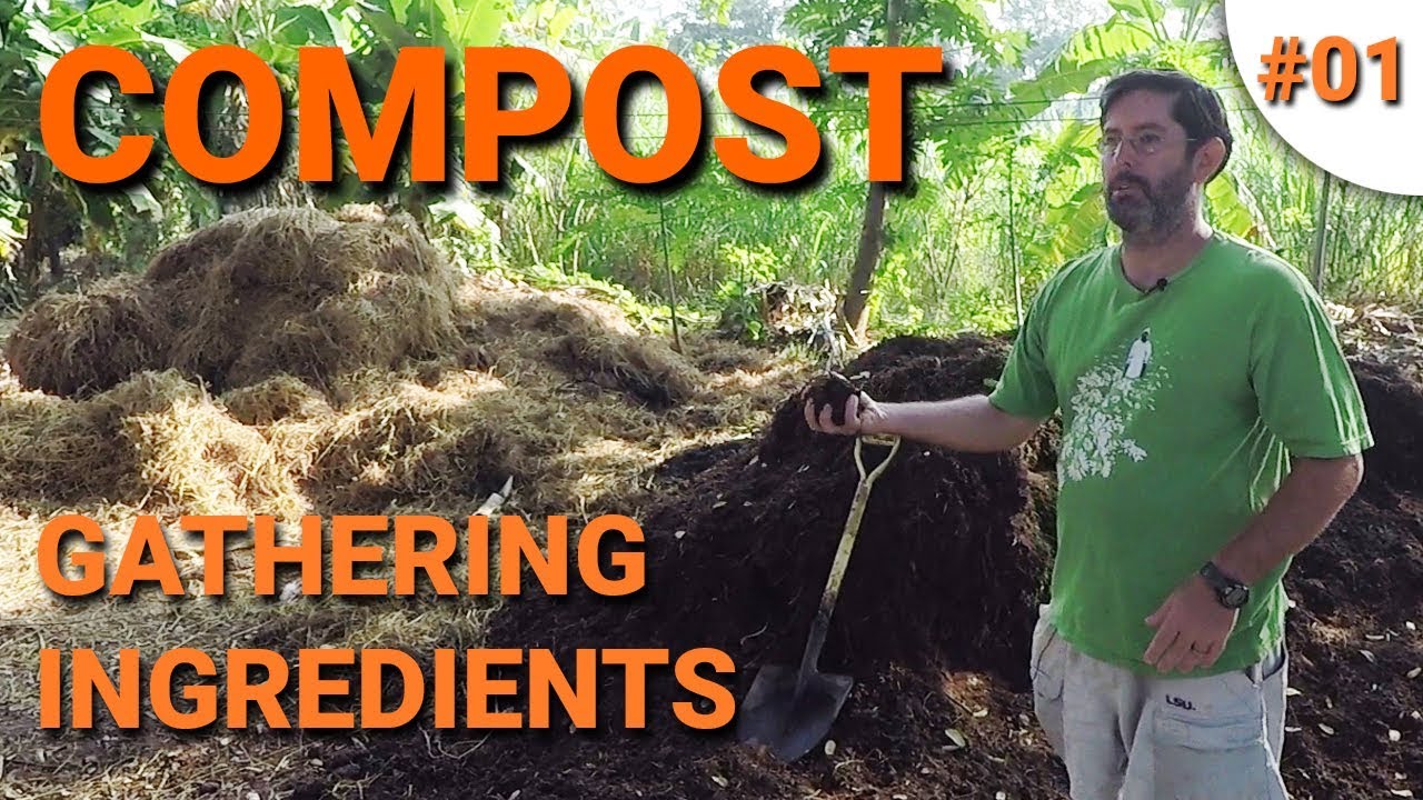 Permaculture: Compost Ingredients, Making the most with what you have ...