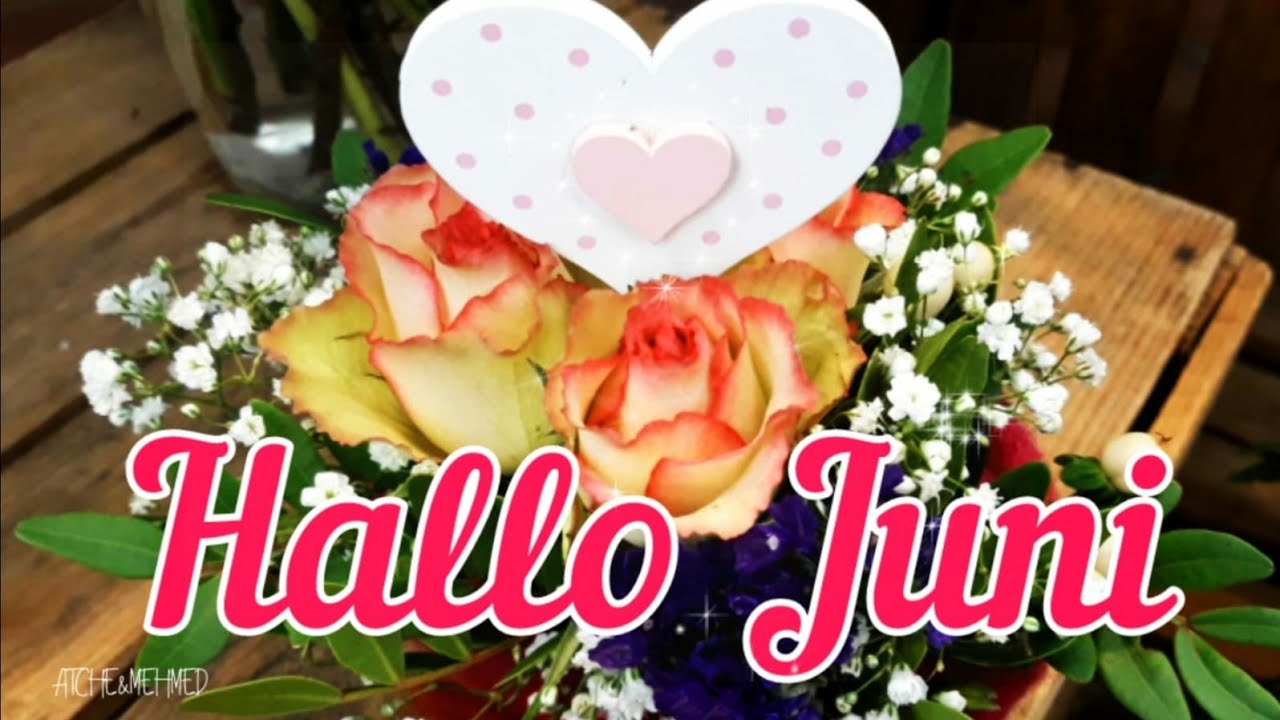 Hallo Juni ♡ Ich wünsche dir einen schönen Tag im Monat Juni 🌞 Juni ...