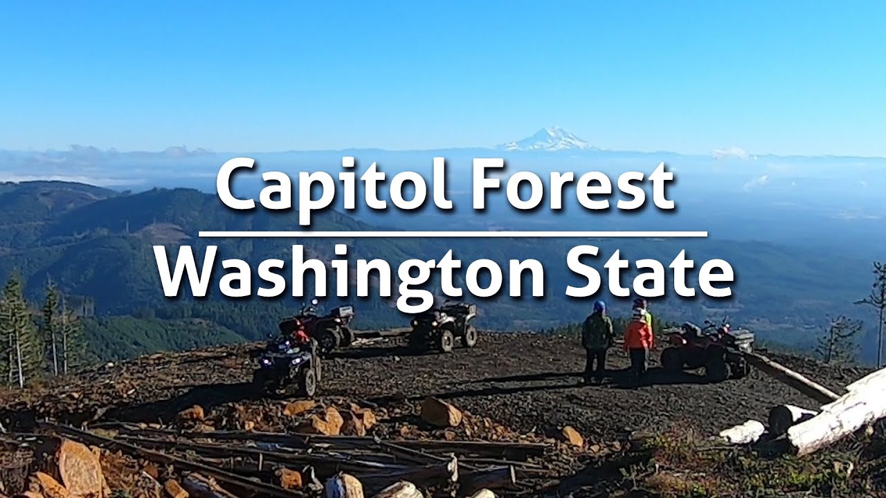 Capitol Forest ATV Trail Ride - Washington State (11/2023) - YouTube