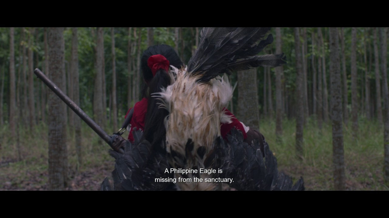 Birdshot Official Trailer - YouTube