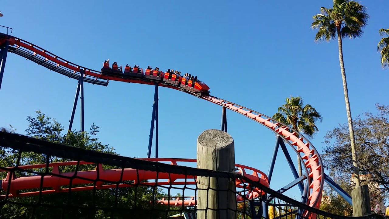 Scorpion roller-coaster at Busch Gardens Tampa Bay - YouTube