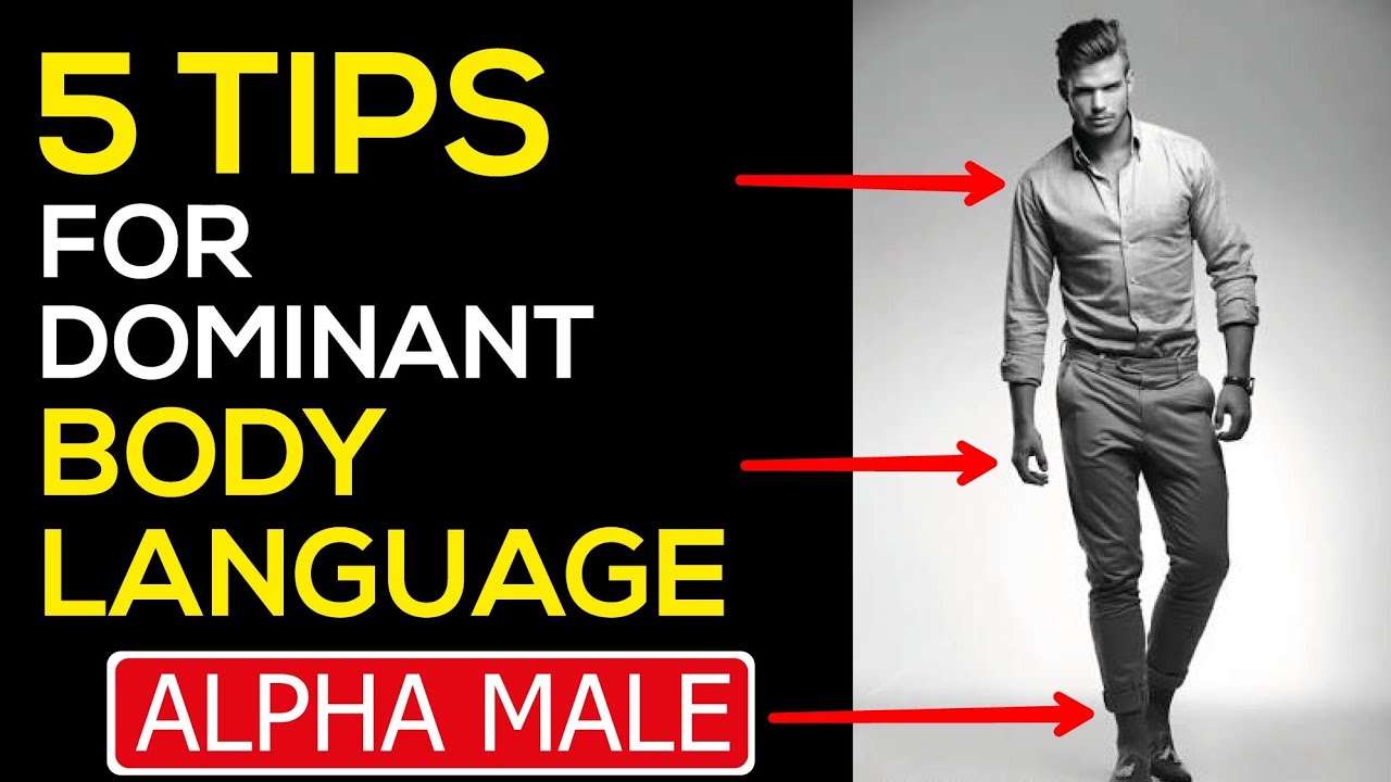 Alpha Male Body Language In Hindi Confident Body Language In Hindi alpha-male-body-language-in-hindi-confident-body-language-in-hindi