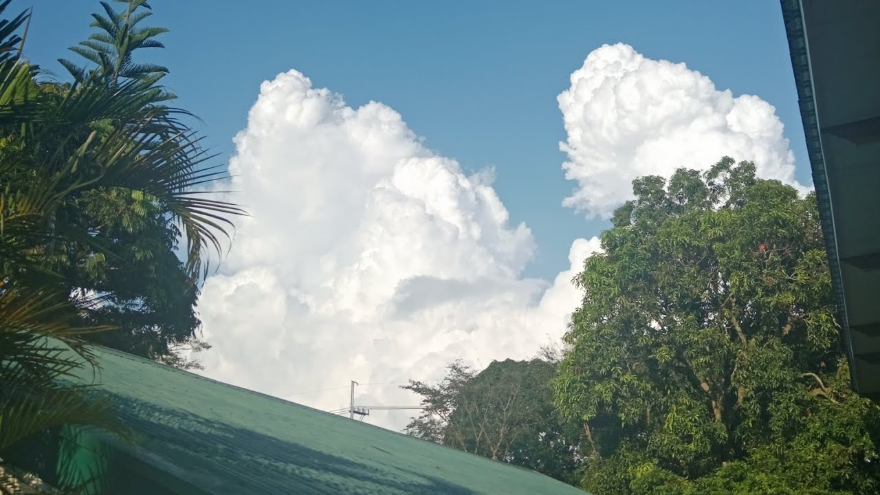 THE TRUTH | By Grade 6 Maasahan Group 4 | | A performance task ...