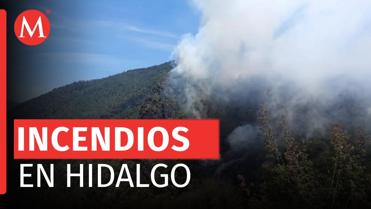 Registran cuatro incendios forestales en 24 horas en Hidalgo; aún no se ...